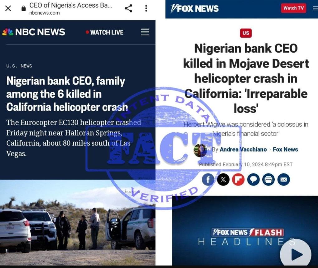 Access Bank CEO Herbert Wigwe died in plane crash in Florida?